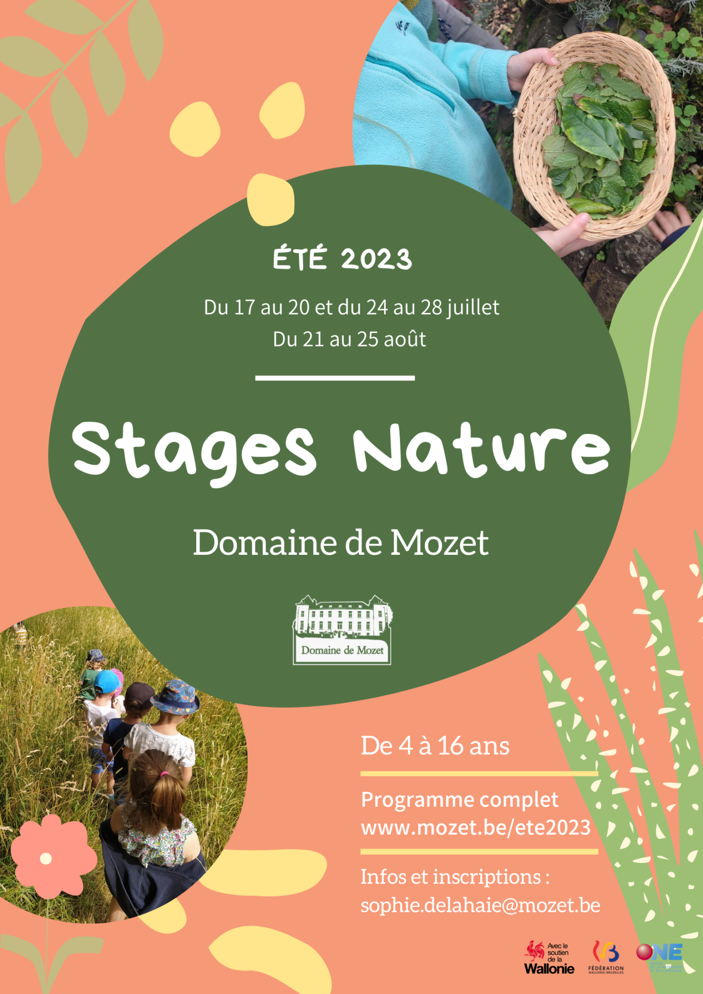 Stages – Été 2023 | Domaine de Mozet